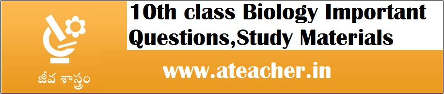 10th Class Biology Important Questions SSC Tenth Biological Sciences 10th-class-biology-important-questions-ssc-tenth-biological-sciences