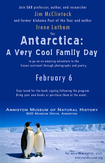 Live Your Poem...: Look! The Sun is Shining on Antarctica!