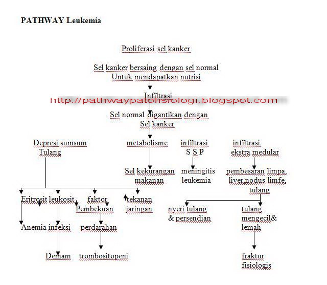 Pathway Leukemia - Pathway Patofisiologi