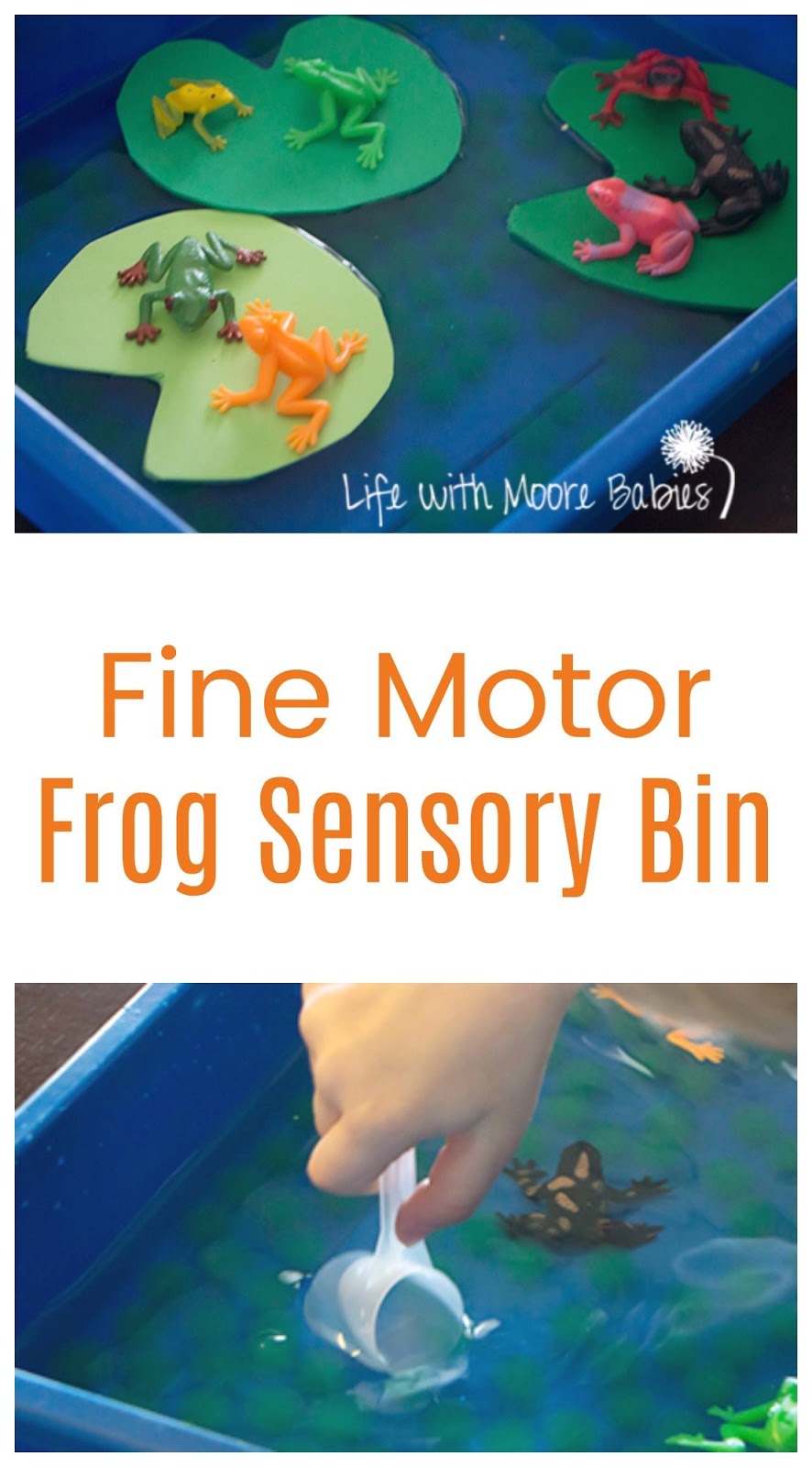 Frog Themed Sensory Bin for a Hopping Good Time - Life with Moore Babies