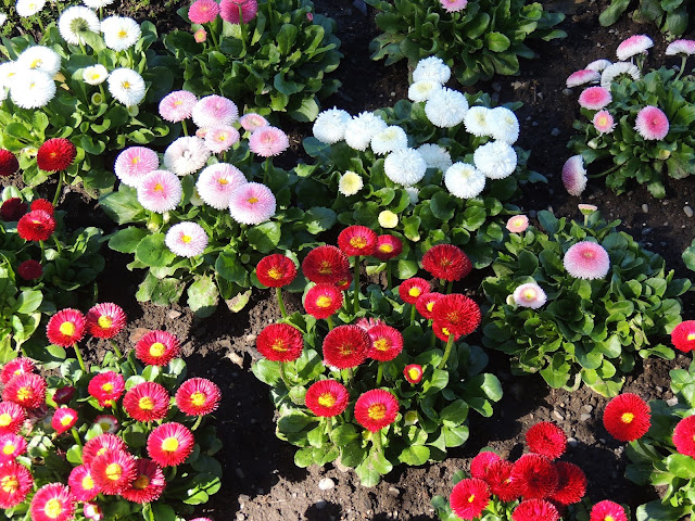 THE ROAD TAKEN : Napier: Art Deco Capital of the World