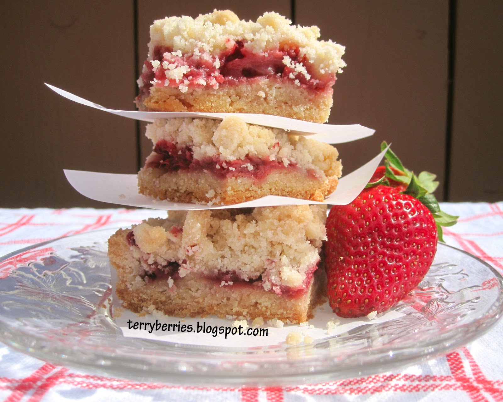 Terry Berries Recipes