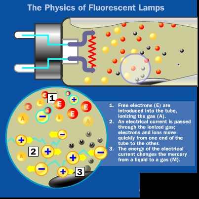 World of Physics: How Fluorescent Lamps/Bulb Work