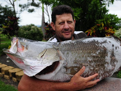 Outback Snack: World record Barramundi
