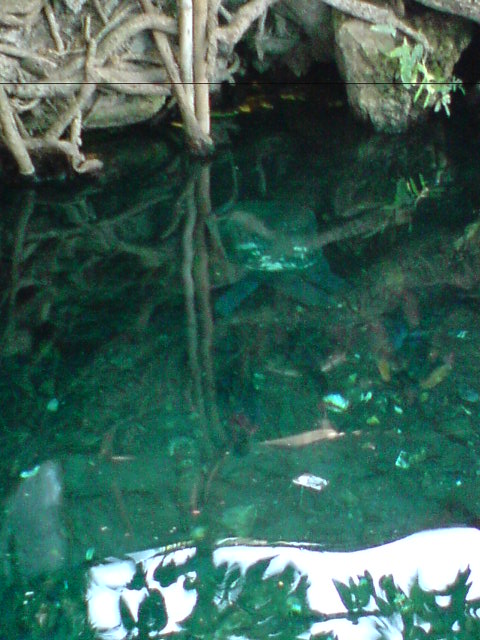 Life is my Journey: Bulus di Jimbung, Klaten