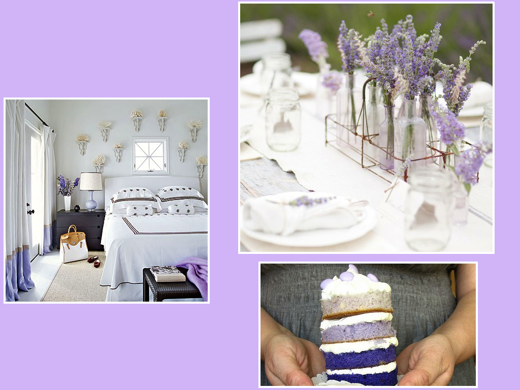Design + Obsessed: {Shades of Lavender}