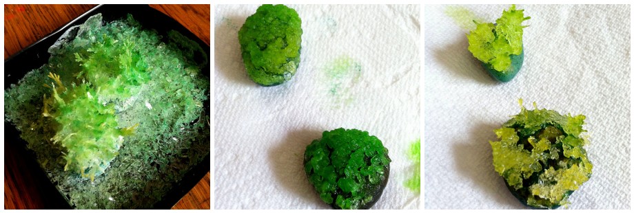 The Fantastic Five: Sedimentary, Igneous, and Metamorphic Rock Projects