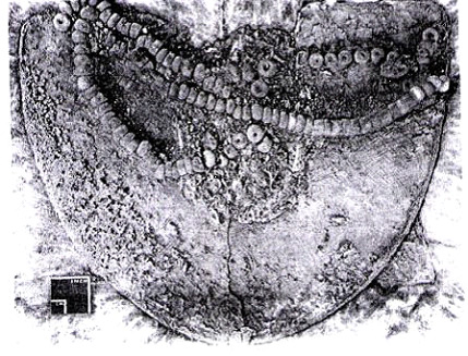 Ancient Black History: Thurstan Shaw, Igbo, Menes, Egypt, Flood Myths ...