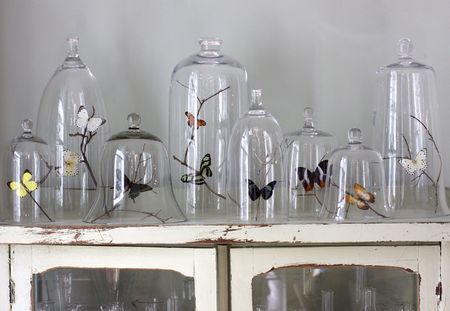 Eye For Design: Decorating Under Glass With Cloches And Domes