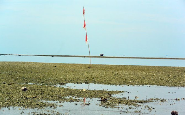 Berlayar ke Pulau Gosong Lasem, Rembang - Nasirullah Sitam
