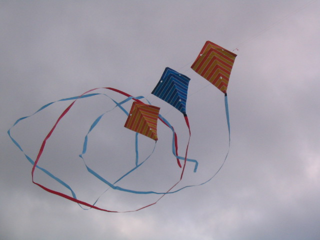 Flying Fish Kiting Team: 9 Trlbys and 9 Aces