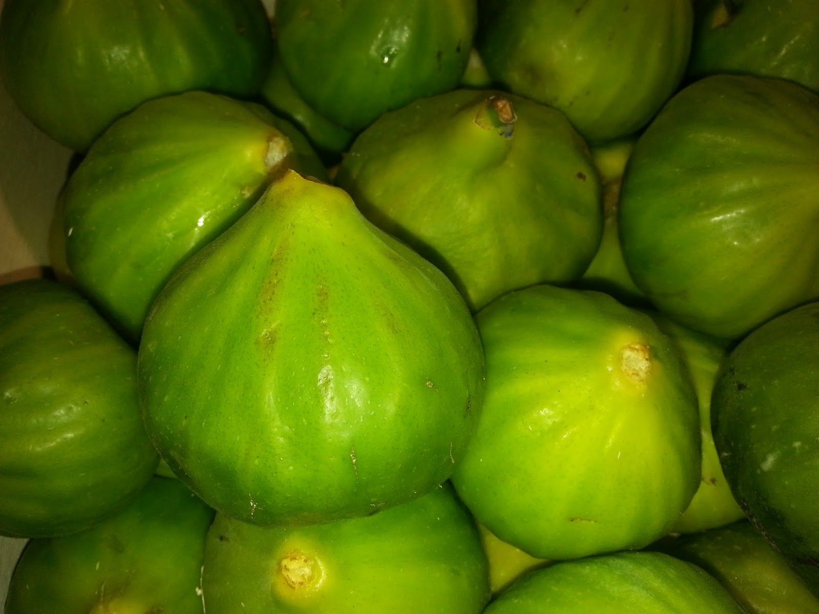 cadalso vive: Ya se ven las brevas en la higuera...