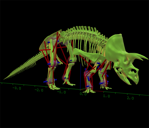 Paleo Illustrata: Walking (and making) the dinosaur