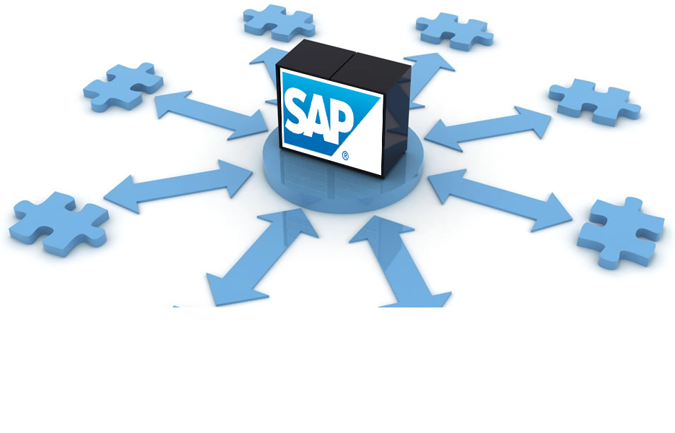 TODO SOBRE SAP: SAP