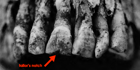 SearchReSearch: Answer: Body modifications?