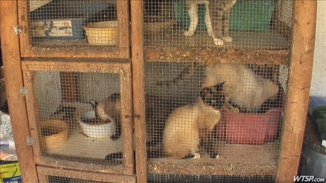 Four legged friends (and enemies): Napier's Animal Sanctuary: 300 ...