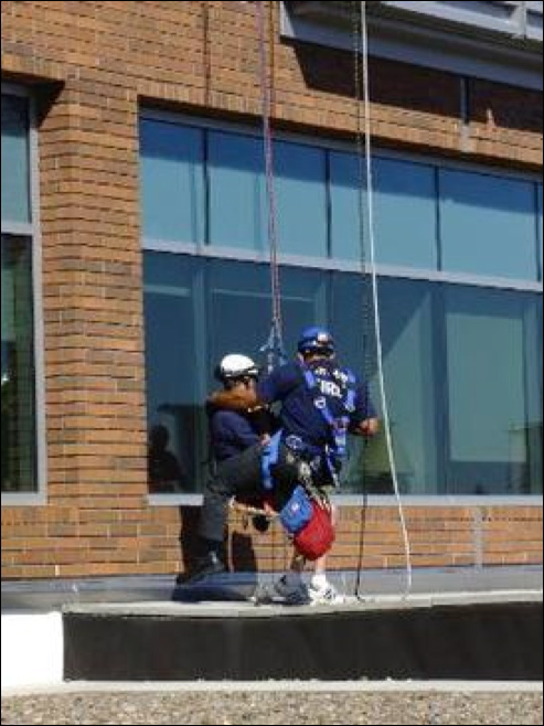 Robinson-Solutions Professional Window Cleaning: How To Rescue A Window ...