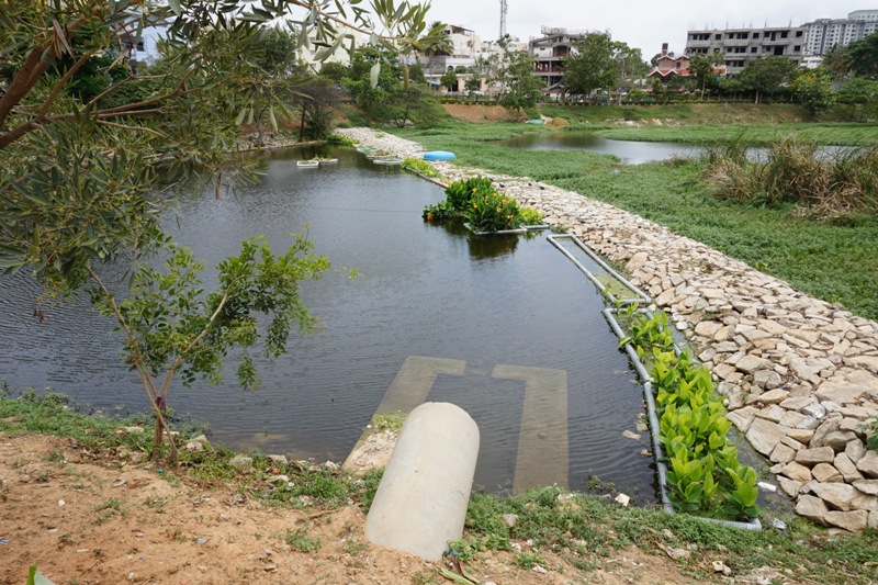 Wetland rejuvenation project at Puttenahalli Lake - Citizen Matters