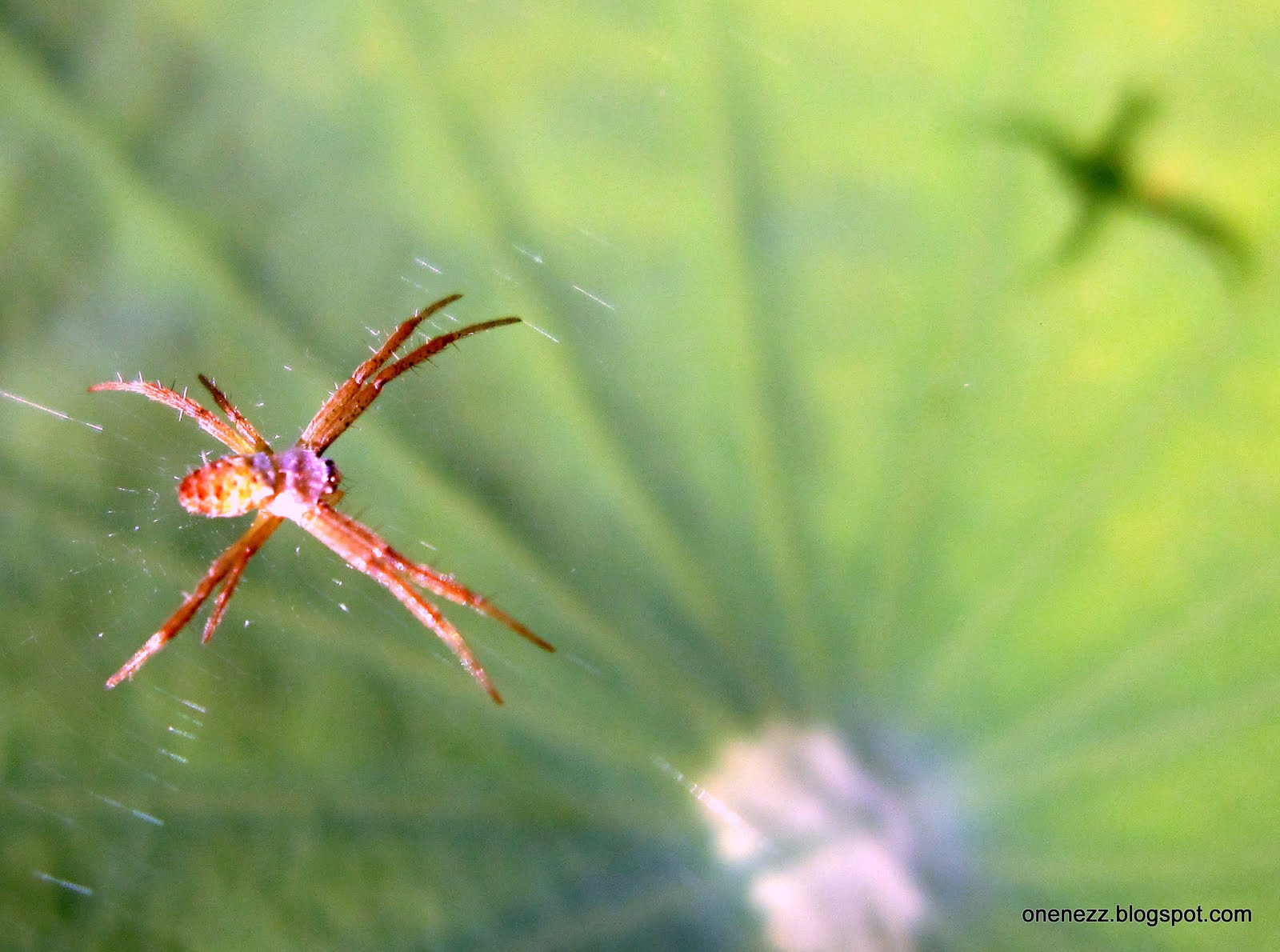 Onenezz: Lighting: A Closer Look