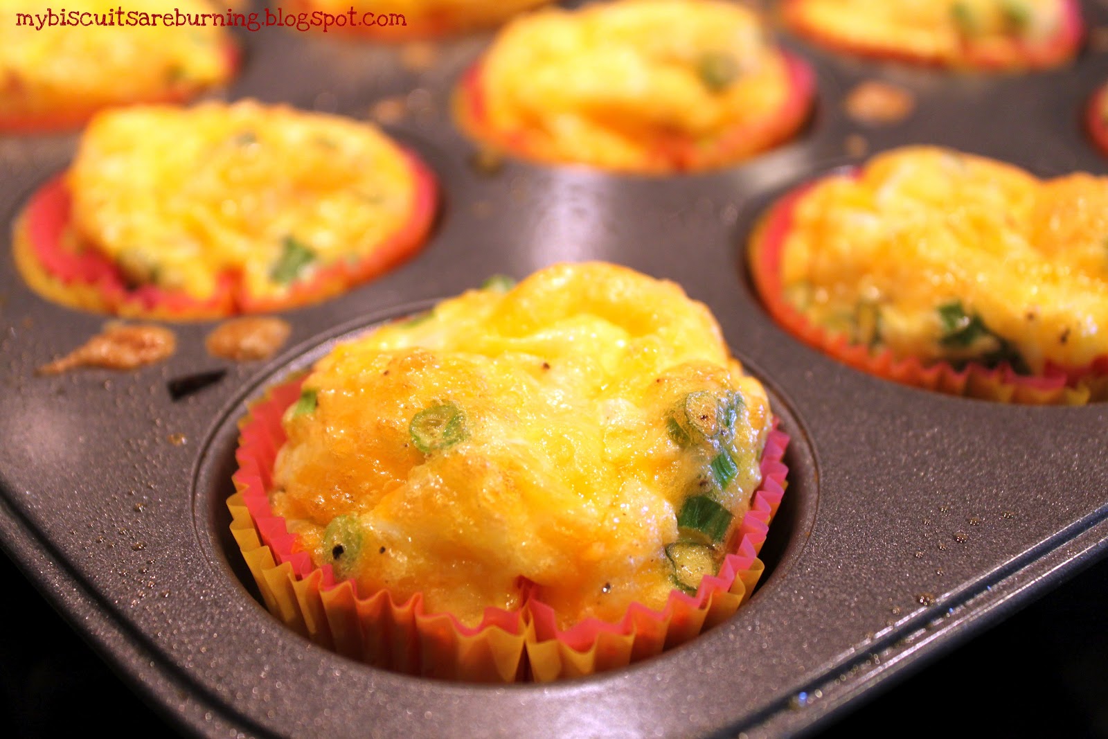 Omelet Muffins