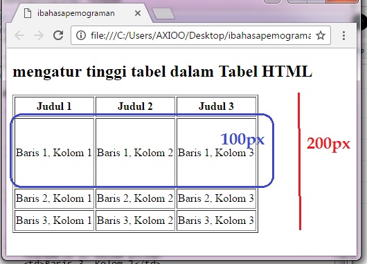 Cara Mengatur Lebar dan Tinggi pada tabel HTML - Petunjuk Onlene