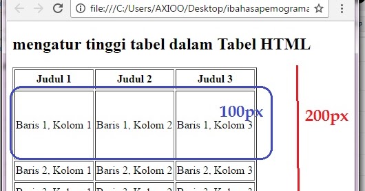 Cara Mengatur Lebar dan Tinggi pada tabel HTML - Petunjuk Onlene