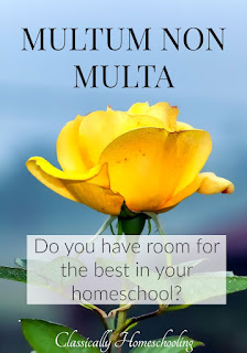 The Planted Trees: Multum Non Multa Exhibited in a Charlotte Mason ...