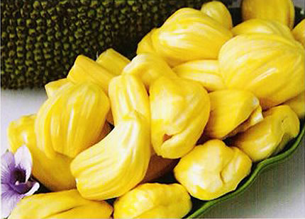 10 Must Know facts about Jackfruit