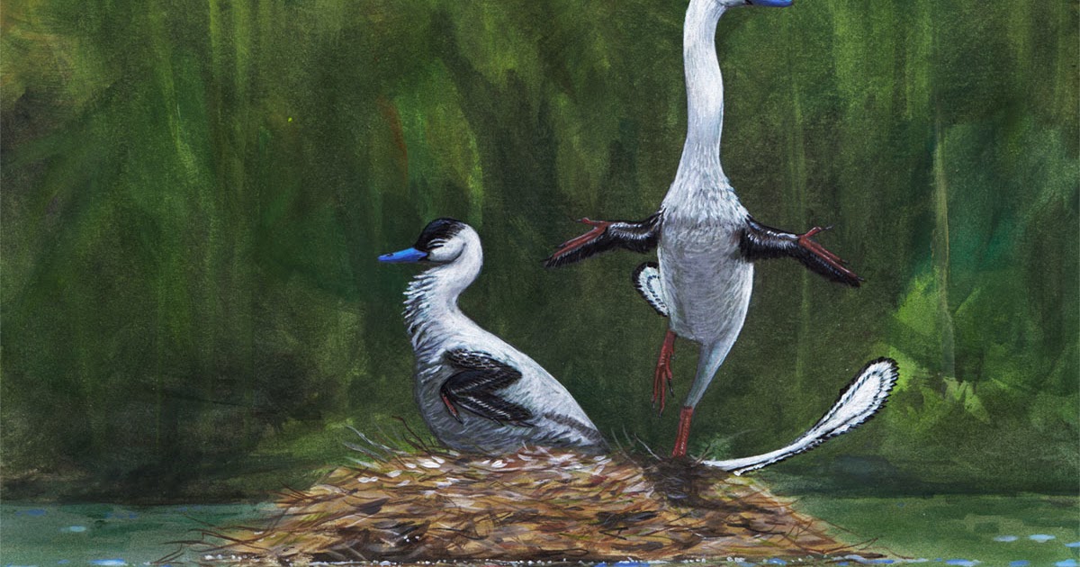 Notions Of A Most Peculiar Dinosaur Nerd: Halszkaraptor and what it ...