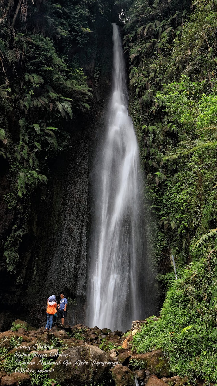 Liburan tahun baru di Kebun Raya Cibodas, Mengunjungi Curug Cibogo dan ...