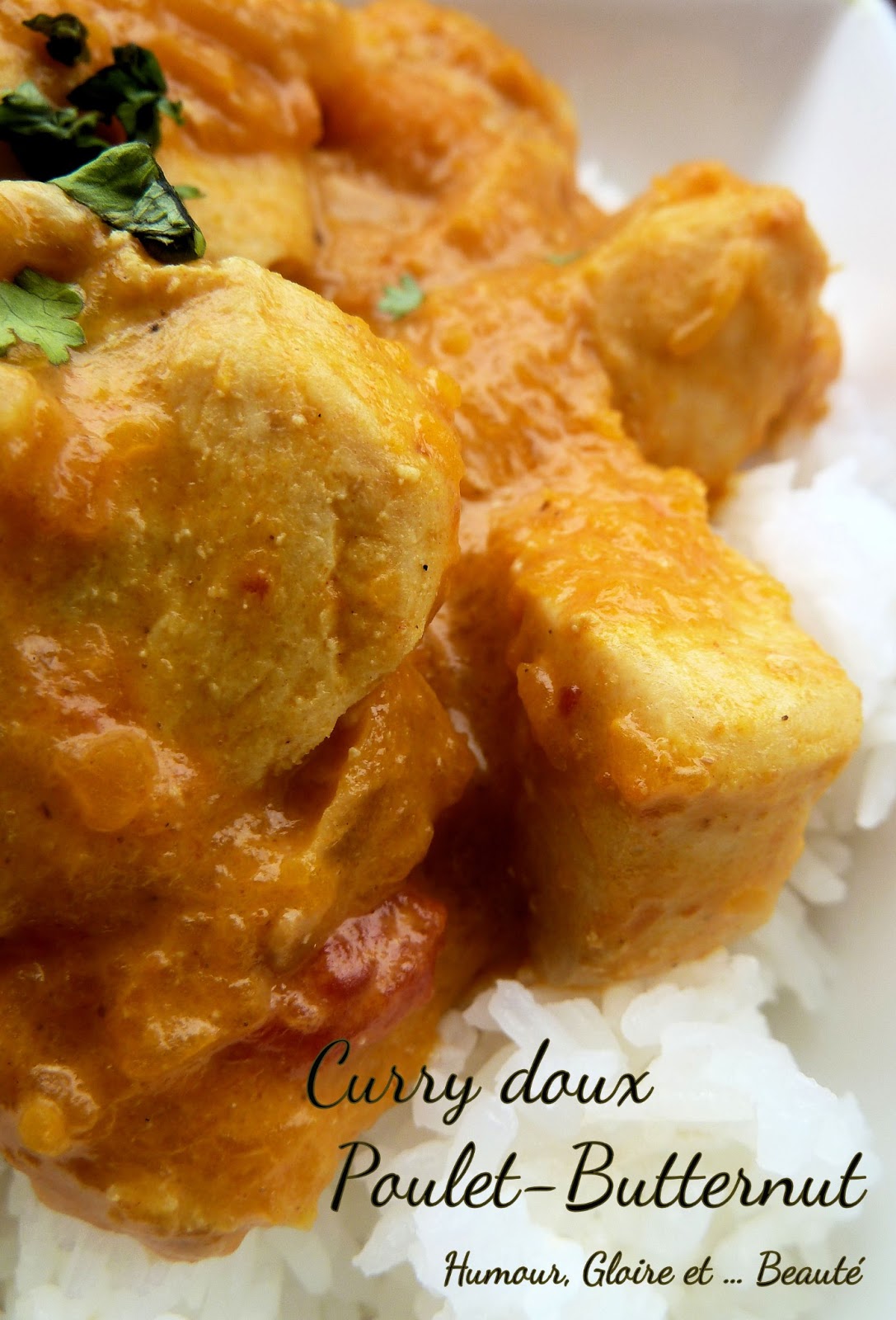 HGB: Curry tout doux Poulet Butternut