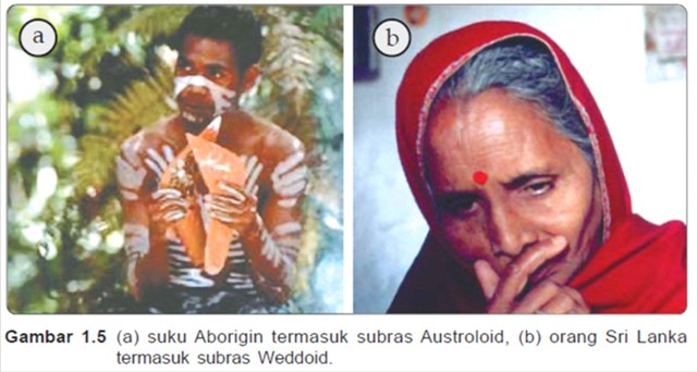 BENTUK BENTUK DIFERENSIASI SOSIAL:PELAJARAN KU