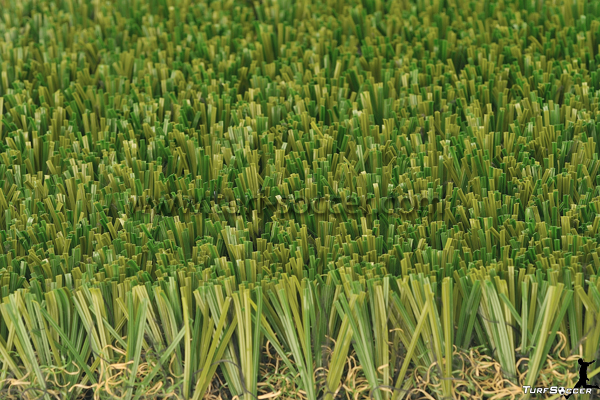 Artificial grass: March 2013