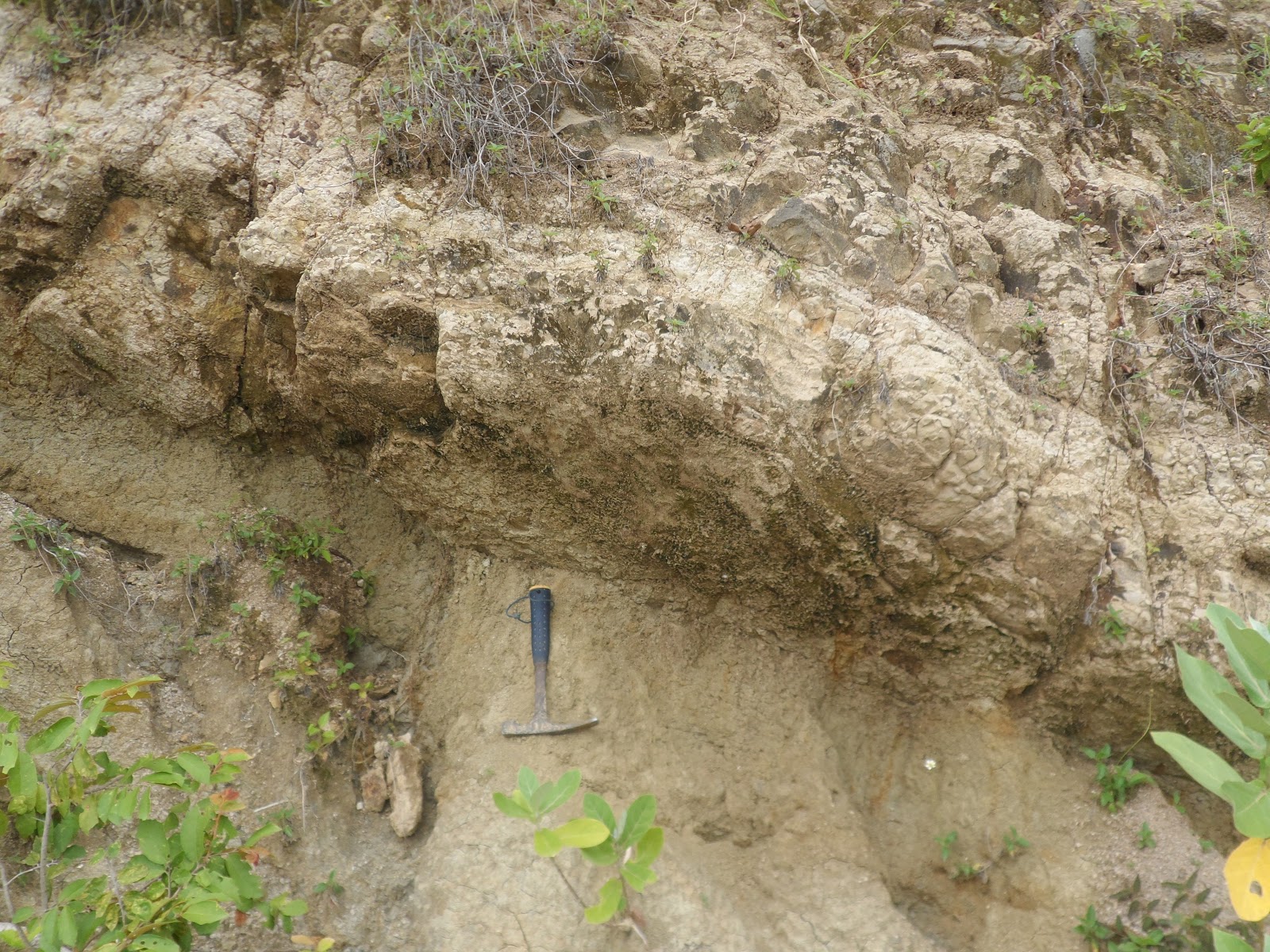 STRUKTUR BATUAN SEDIMEN DAN KONTAK PERLAPISAN BATUAN - DIVERGEN M.O.R