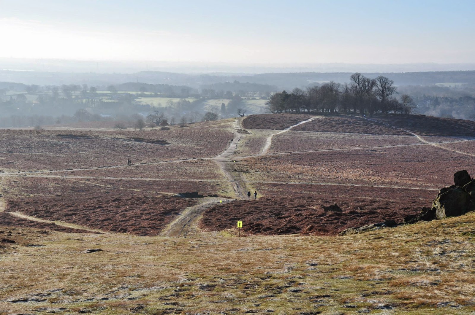 Muddy Beard: Race Review - The Derby Runner XC League - Race4 Bradgate ...