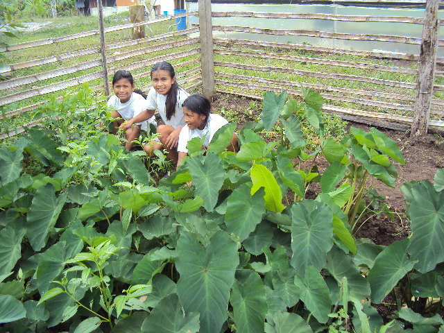 ECUADOR ECO GRANJA RURAL ESCOLAR Copyright © : ECUADOR ECO GRANJA ...