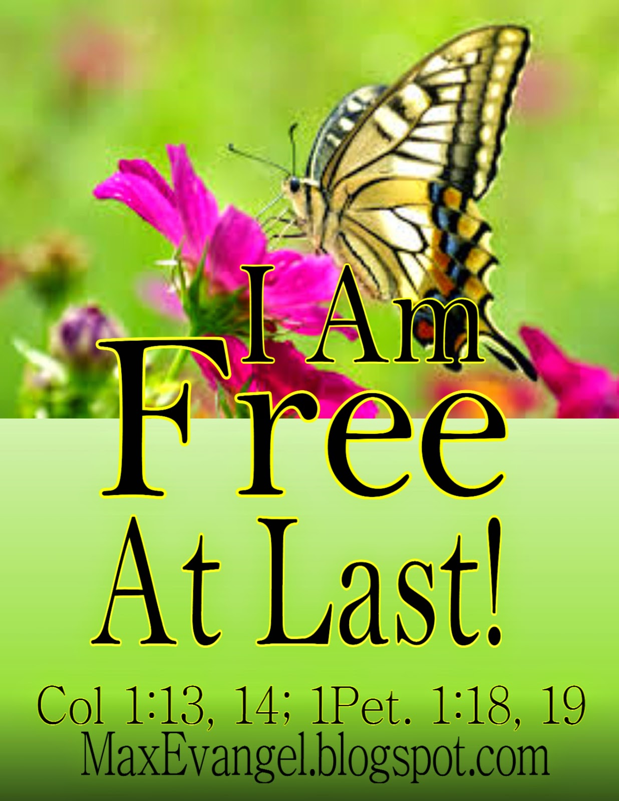 MaxEvangel: I Am Free At Last!