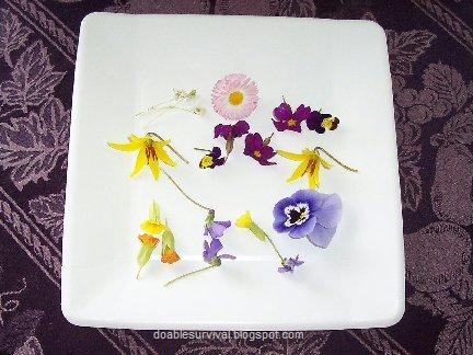 Survival and Preparedness on a Budget: How to Crystallize Flowers