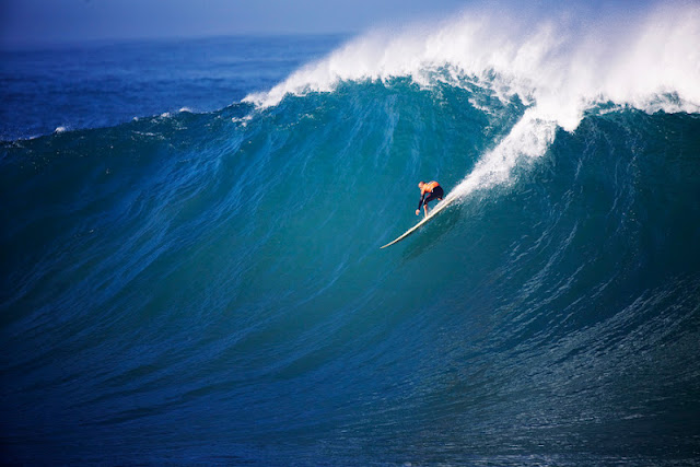 .: Lucia Griggi Photography