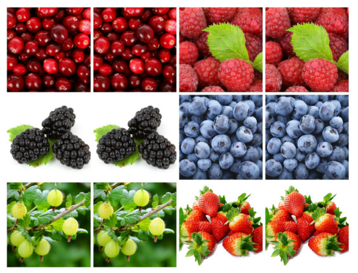 Tots and Me... Growing Up Together: Toddler Ideas Tuesday: Berry Berry ...