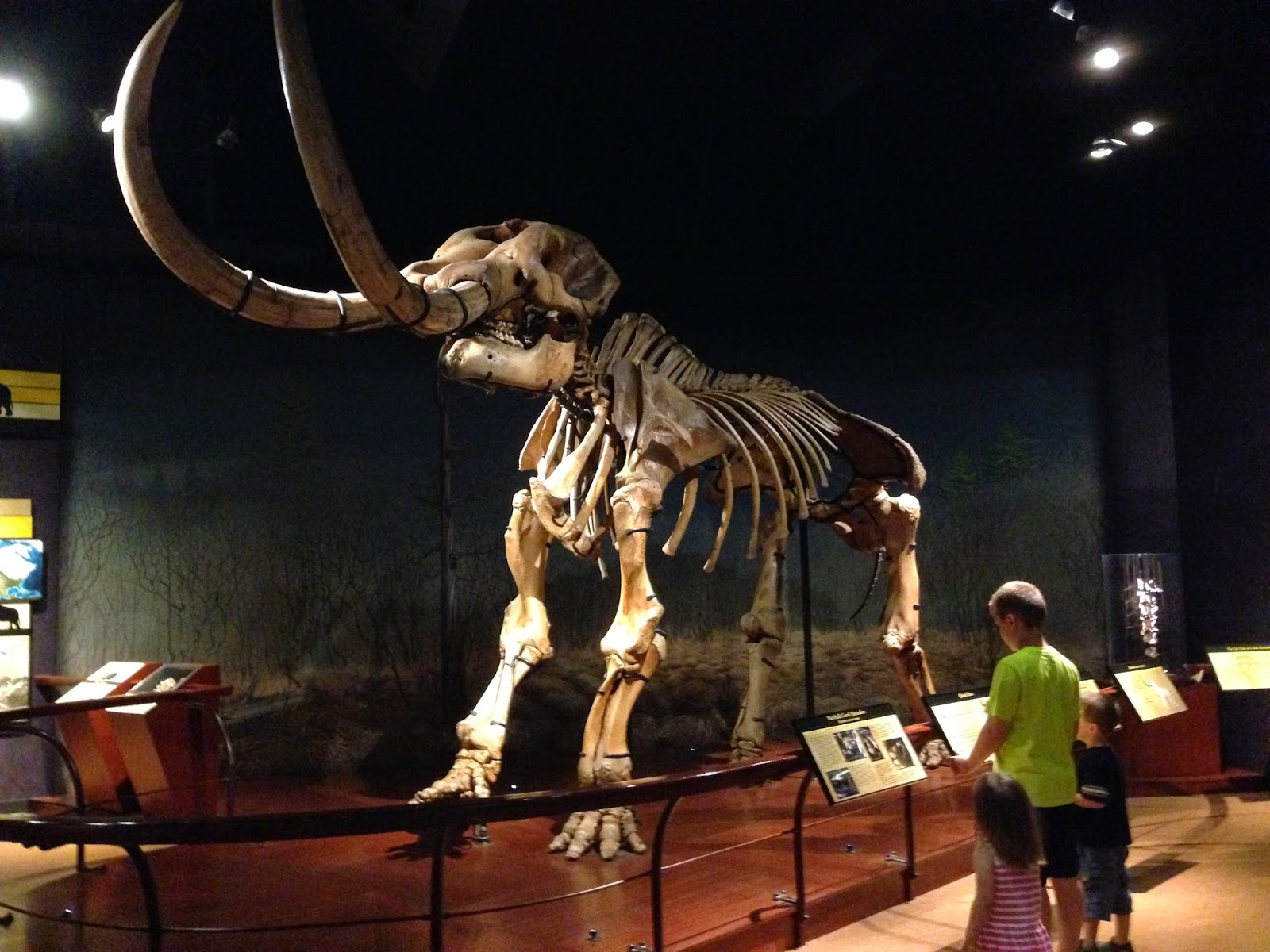 Meet the Muir Family: The PA State Museum