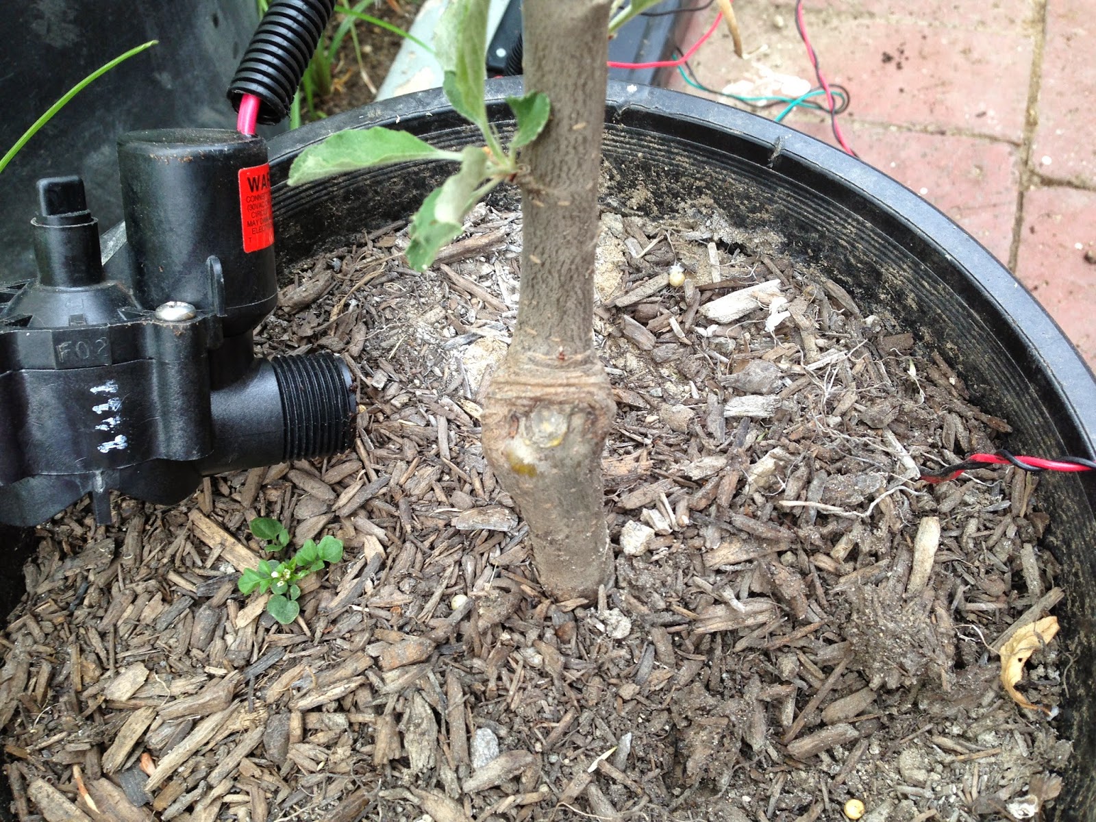 Maker Quest: Raspberry Pi Irrigation Controller