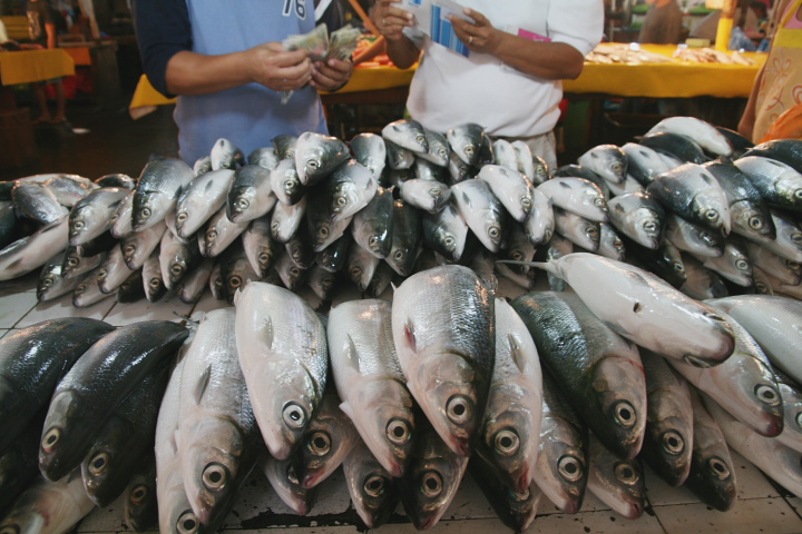 The Aquaculturists: 16/08/2016: Introducing sea bass to reduce tilapia ...