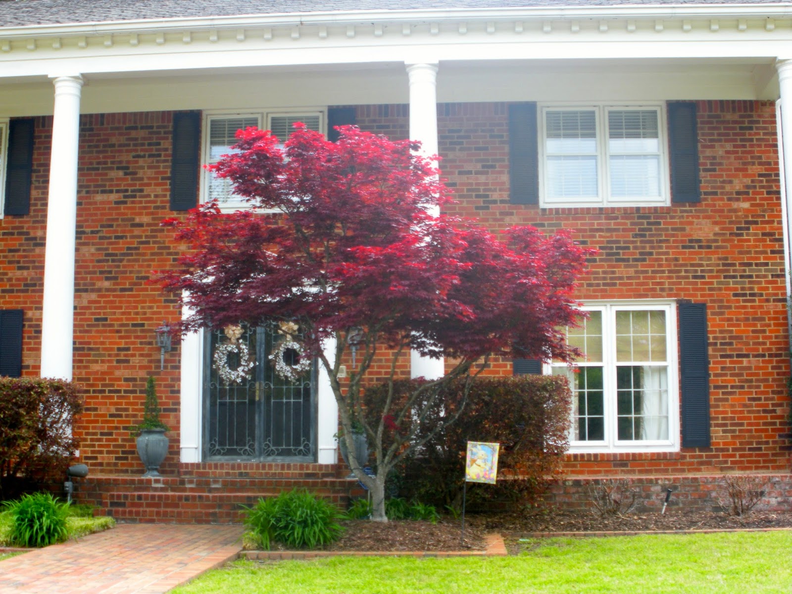 Memphis Trees: A walk in the Greentrees neighborhood to Holmes Park and ...