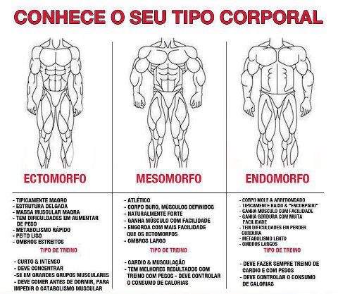 PERSONAL TRAINER DIEGO BARROS: Como Saber se Sou : Ectomorfo, Endomorfo ...