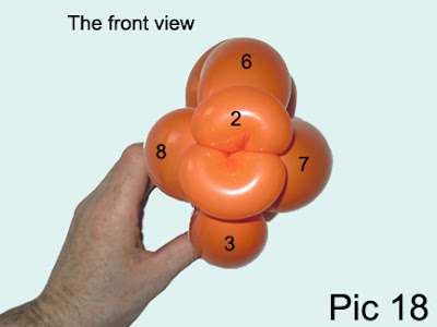 CLASSICAL: Balloon fish