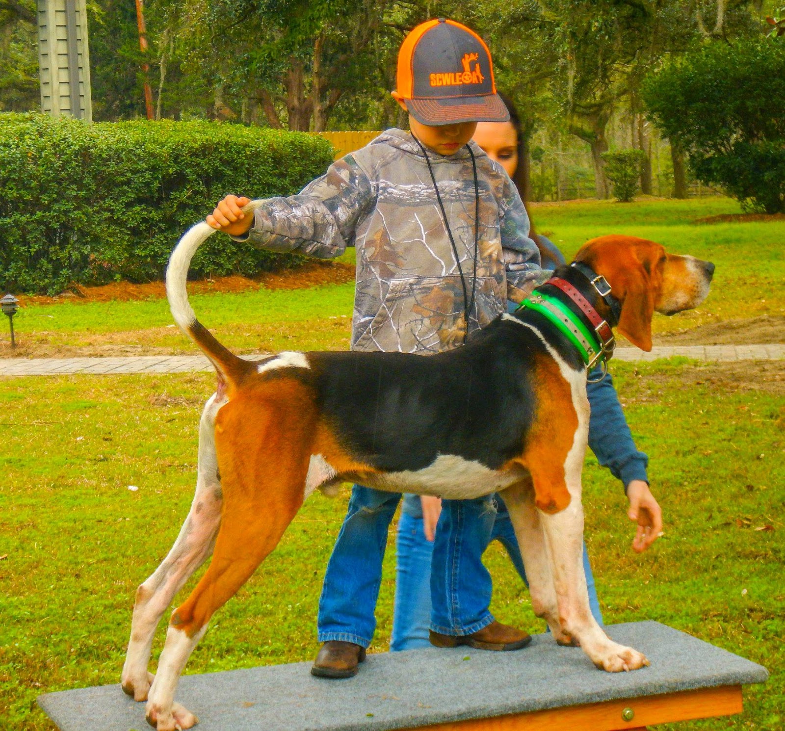 Lowcountry outdoors: 25-Years for State Youth Coon Hunt at Webb Center