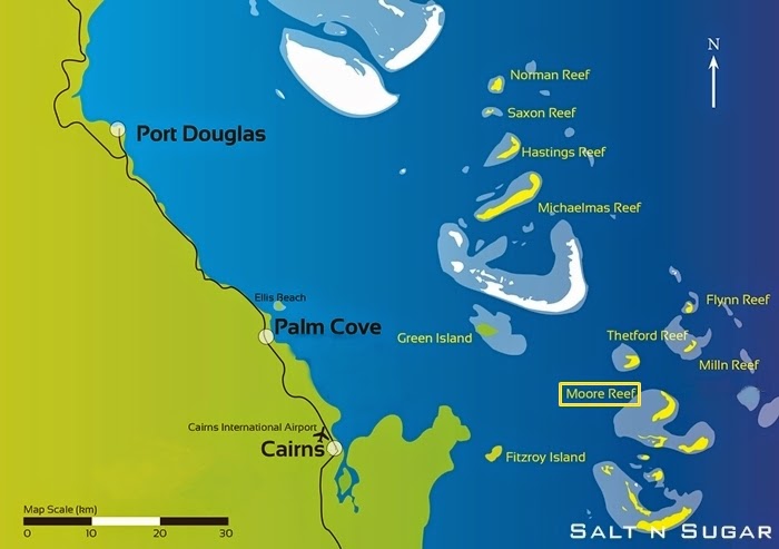Salt and Sugar: Cairns – Reef Magic Moore Reef Pontoon – 唯一的5 Hours on ...