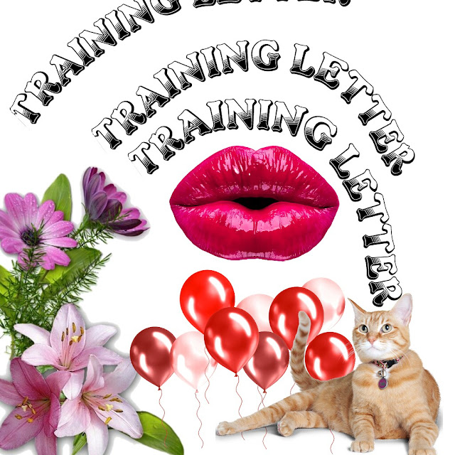 Training Letter For Textile Design ( Printing )|| Format - Textile Shashi