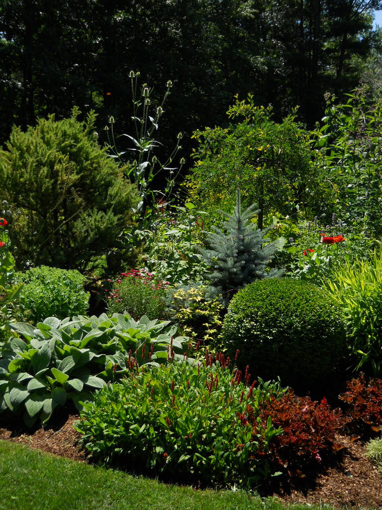 Anemone Times: The Gardens of Maude and John Odgers